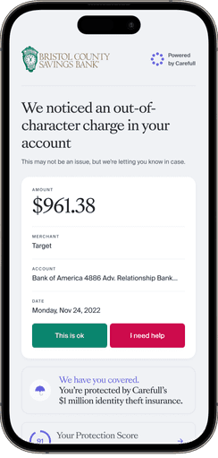 Carefull For Banks & Credit Unions | The financial safety service